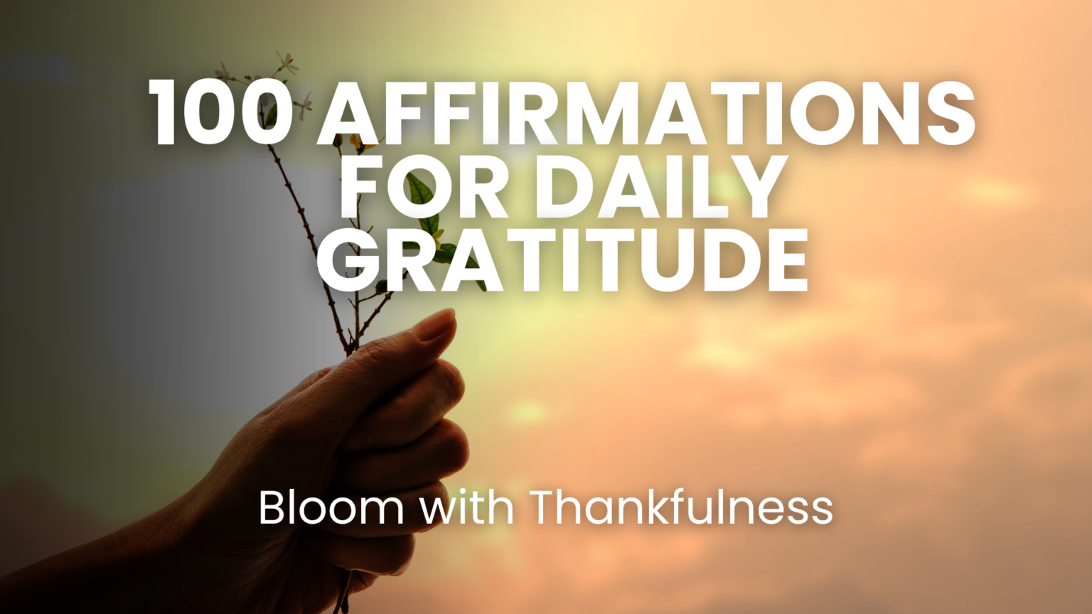 100 Affirmations for Daily Gratitude: Bloom with Thankfulness – The ...